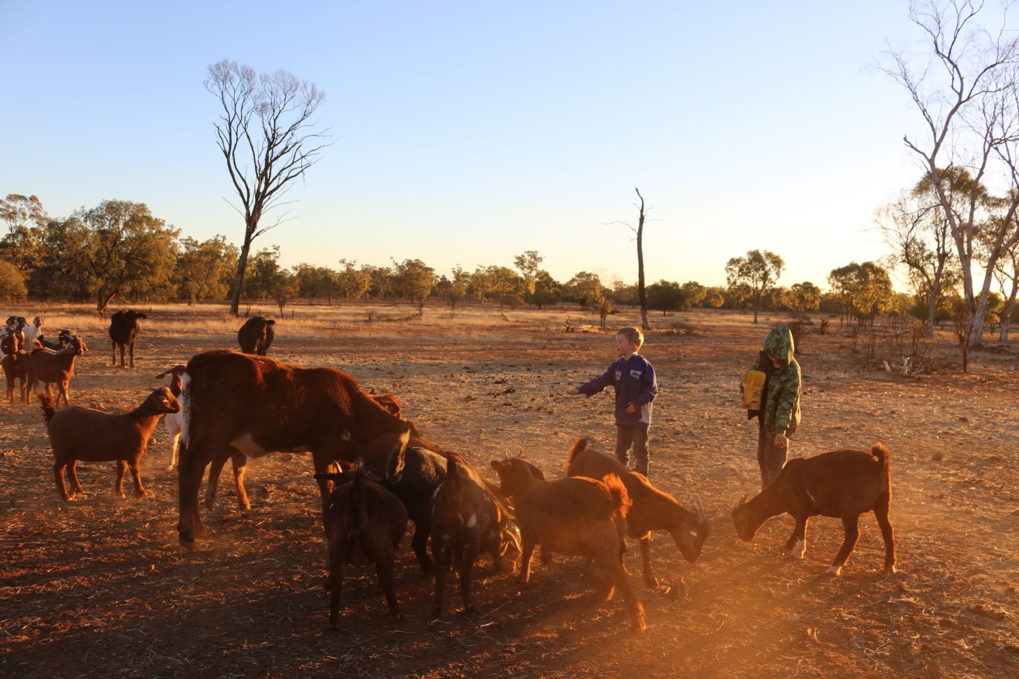 When will enough ever be enough for our Outback Farmers? By Trekking ...